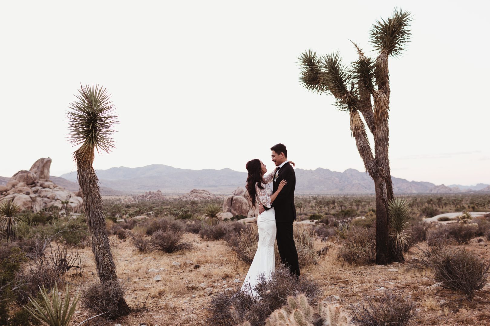 Erin and Wei’s Joshua Tree Elopement